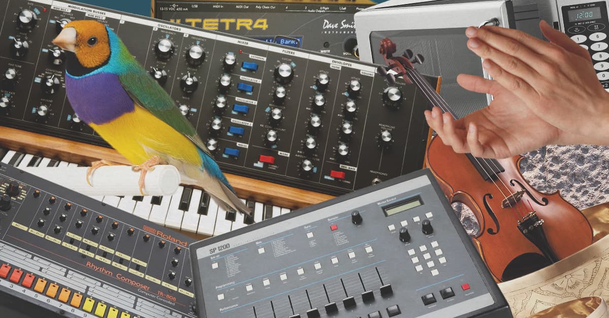 8 packs de samples gratis que despertarán tu creatividad | LANDR Blog