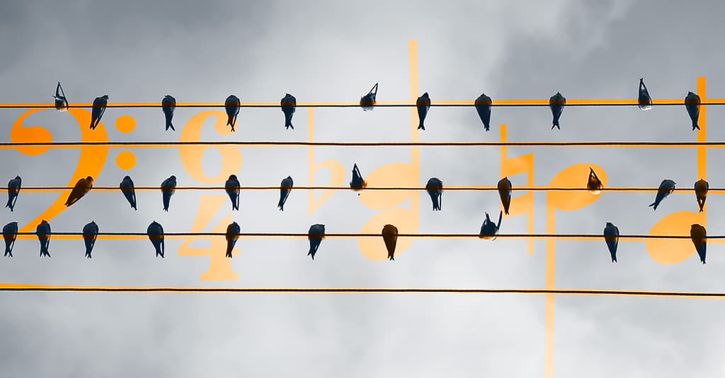 Cos'è la melodia in musica e come usarla nel tuo songwriting | LANDR Blog