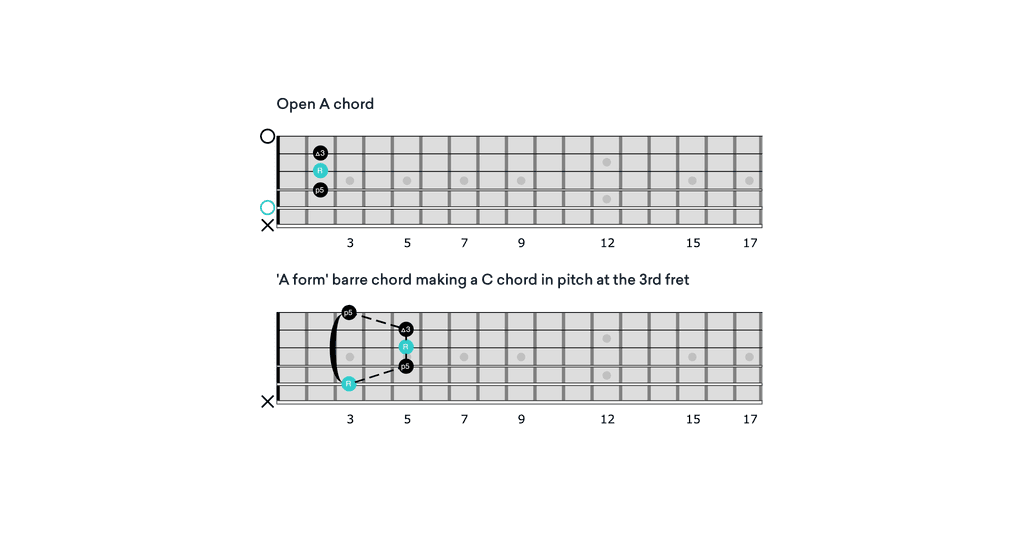 CAGED System: How to Play Chords Along the Entire Fretboard on Guitar