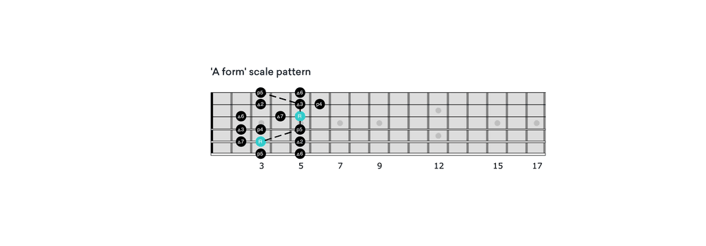 CAGED System: How to Play Chords Along the Entire Fretboard on Guitar