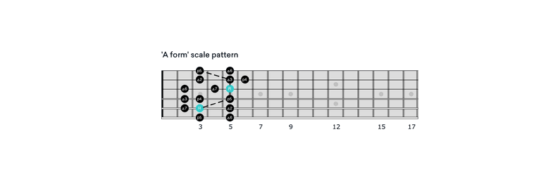 CAGED System: How to Play Chords Along the Entire Fretboard on Guitar