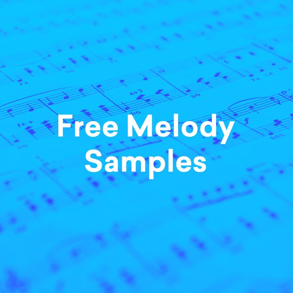 The 10 Best Melody Loops and Sample Packs to Start a Track | LANDR Blog