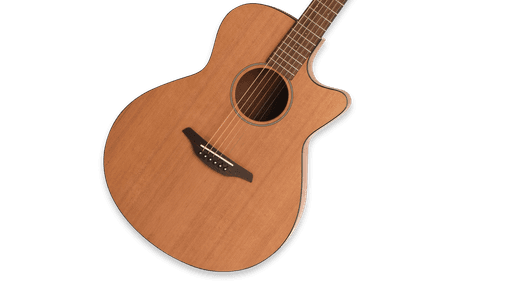 10 Easy Instruments to Learn for Beginners | LANDR Blog