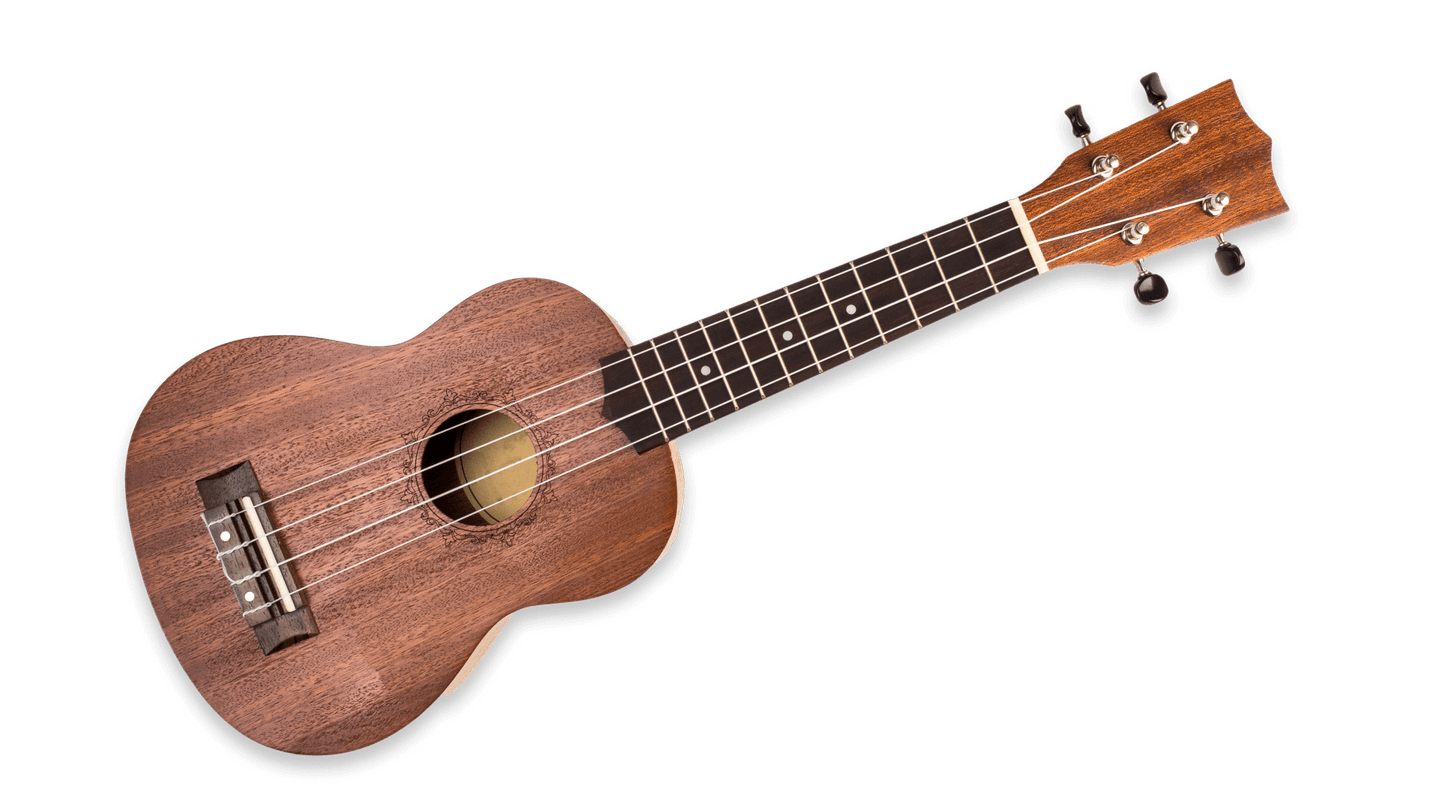 10 Easy Instruments to Learn for Beginners | LANDR Blog