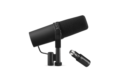 The 11 Best Microphones for Recording Vocals at Any Budget | LANDR Blog