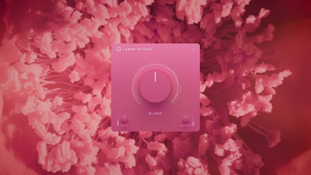 Plugin Bundle Guide: How to Get More out LANDR's Plugin Bundle